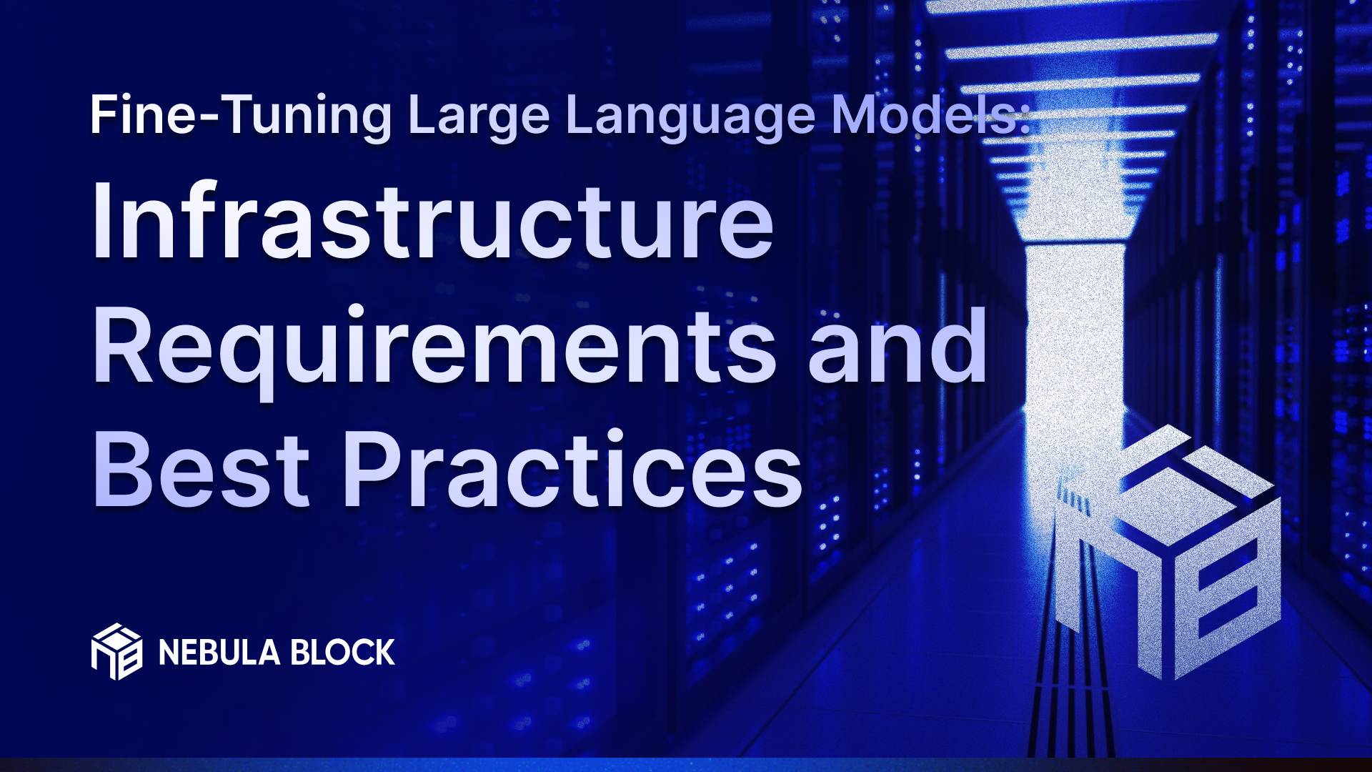 Fine-Tuning Large Language Models: Infrastructure Requirements and Best Practices
